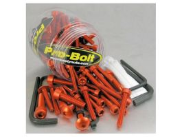 Boite de 100 vis Pro Bolt en aluminium haute qualité anodisé rouge